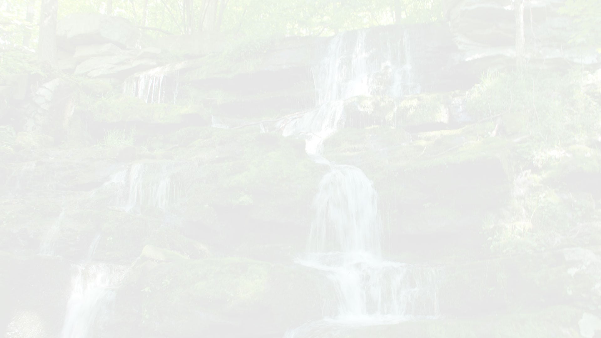 Contact Us | Spruce Lake Retreat