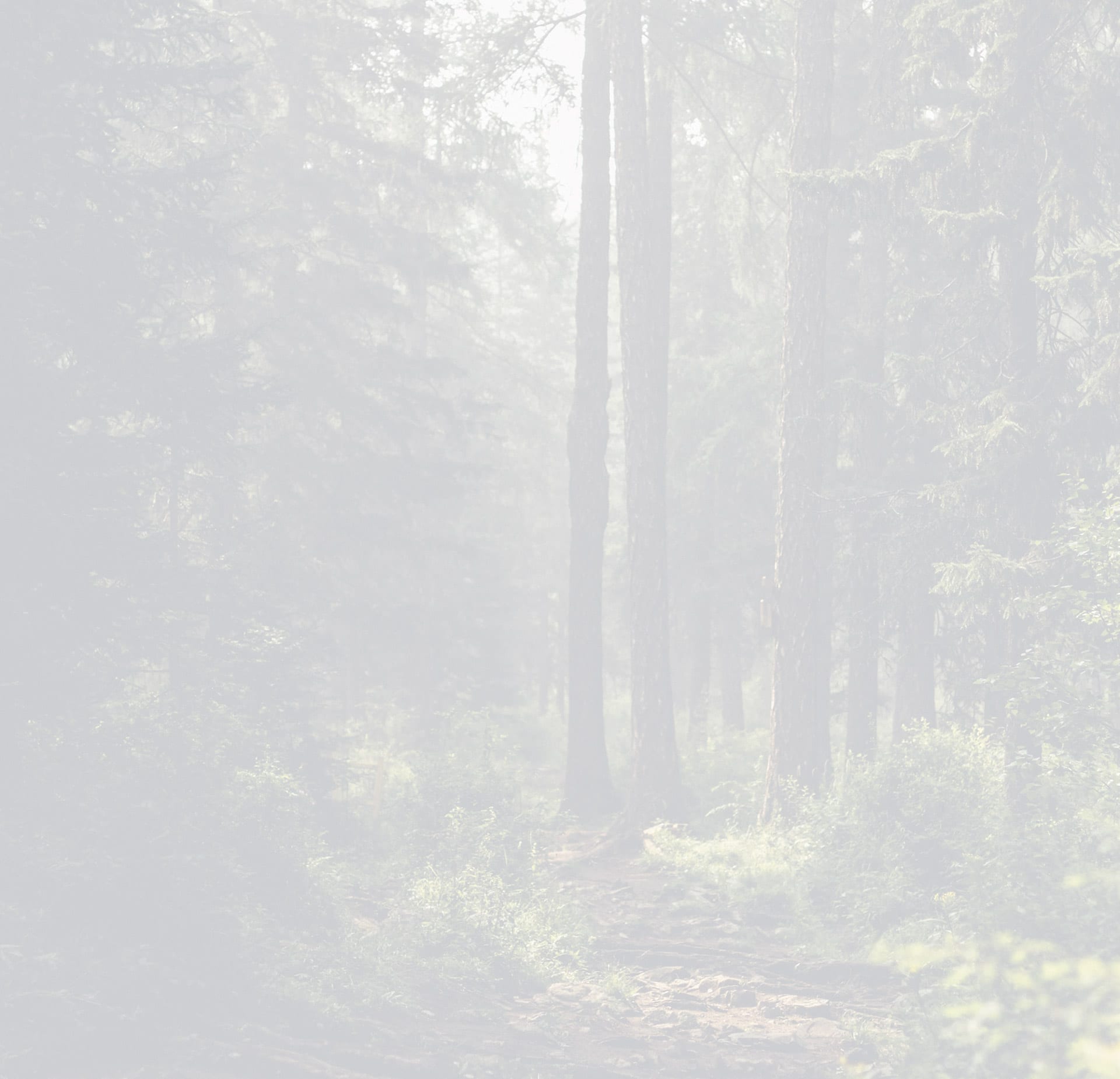 Get a Quote | Spruce Lake Retreat